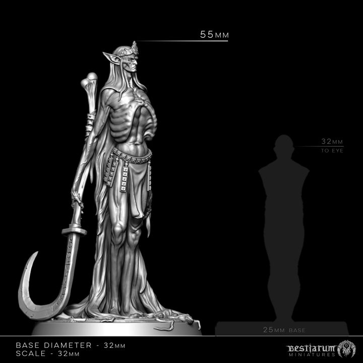 3d Printable Wood Elf Remnant By Bestiarum Miniatures